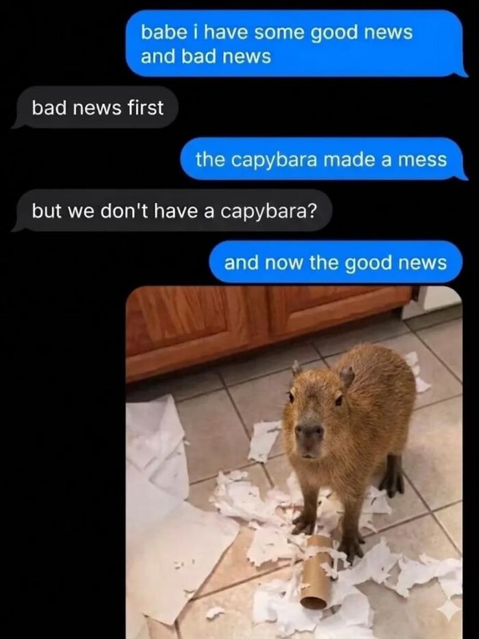37 memes that show how cute and relatable capybaras are