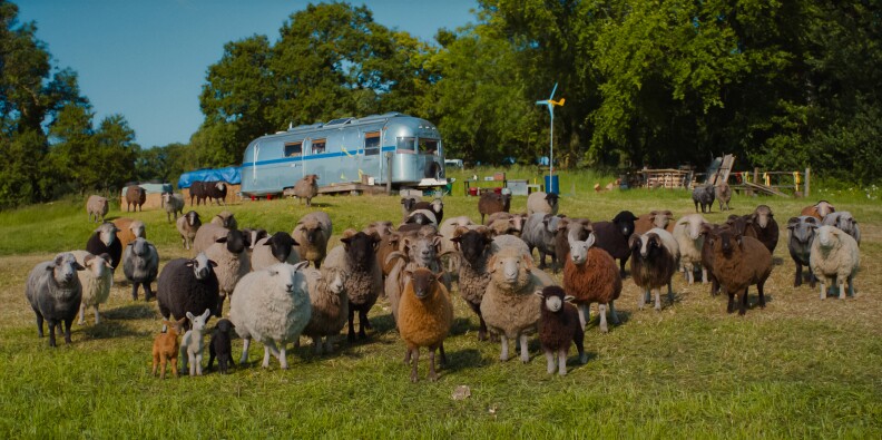 FilmWeek: 'The Sheep Detectives,' 'Mad Bills to Pay,' 'Billie Eilish ...