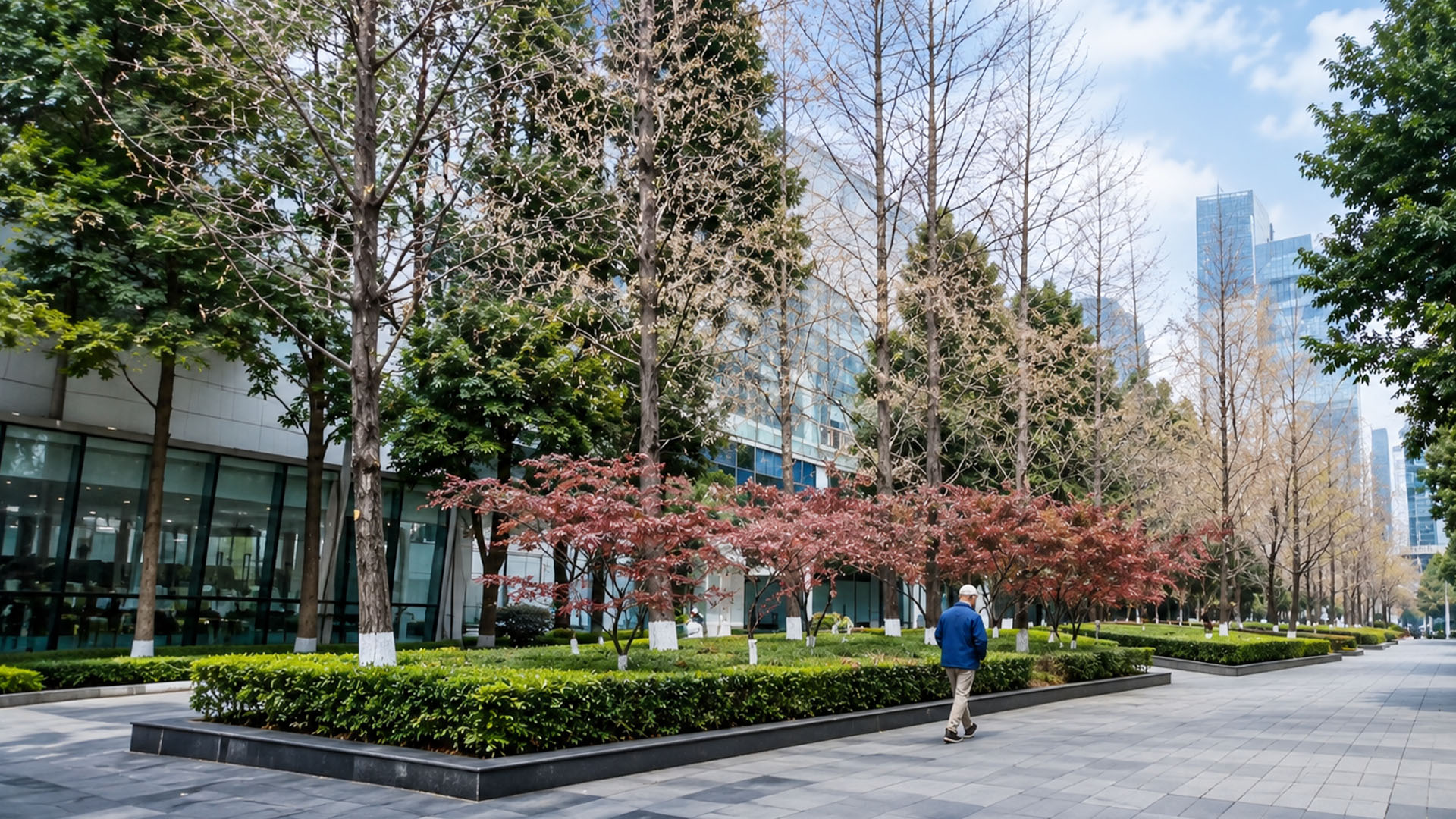 China built peaceful green parks between its towering futuristic ...