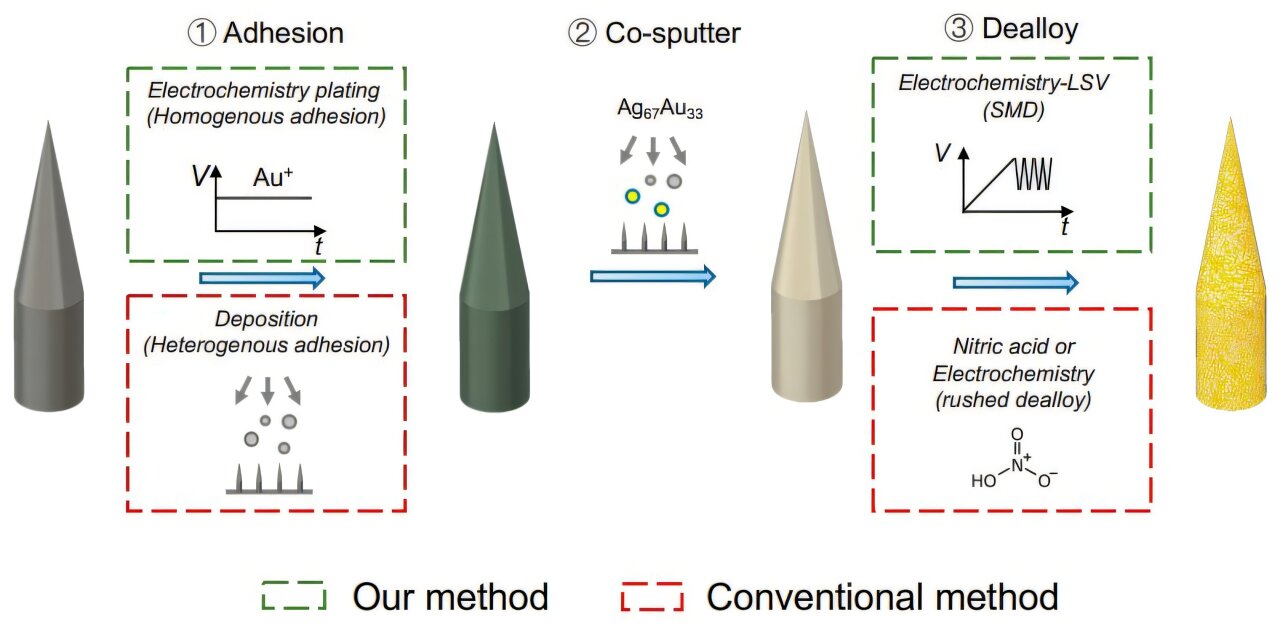 Gold-coated microneedles can detect subtleties in how liver and kidneys ...