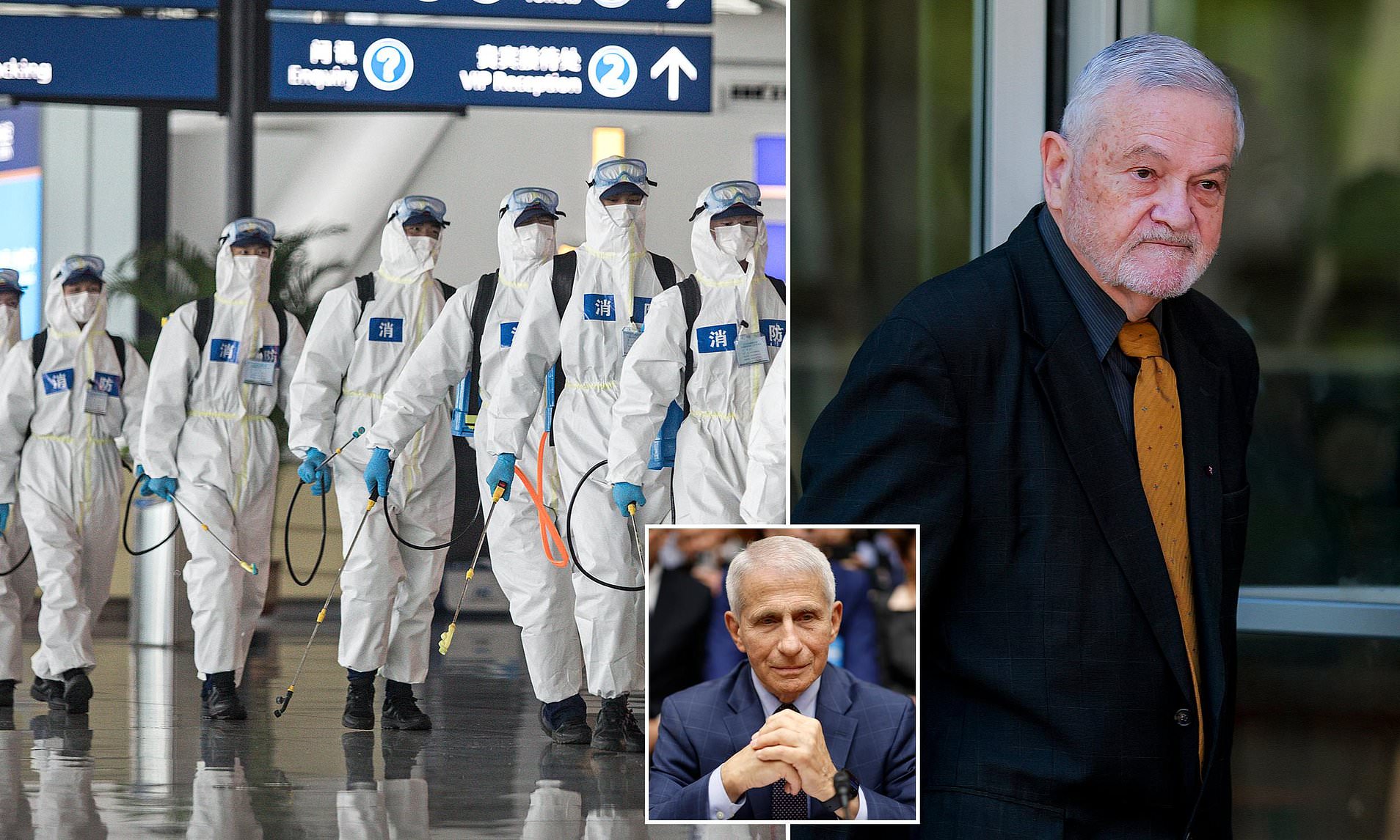 Dr Fauci's top aide's face says it all as he's booked in court on ...