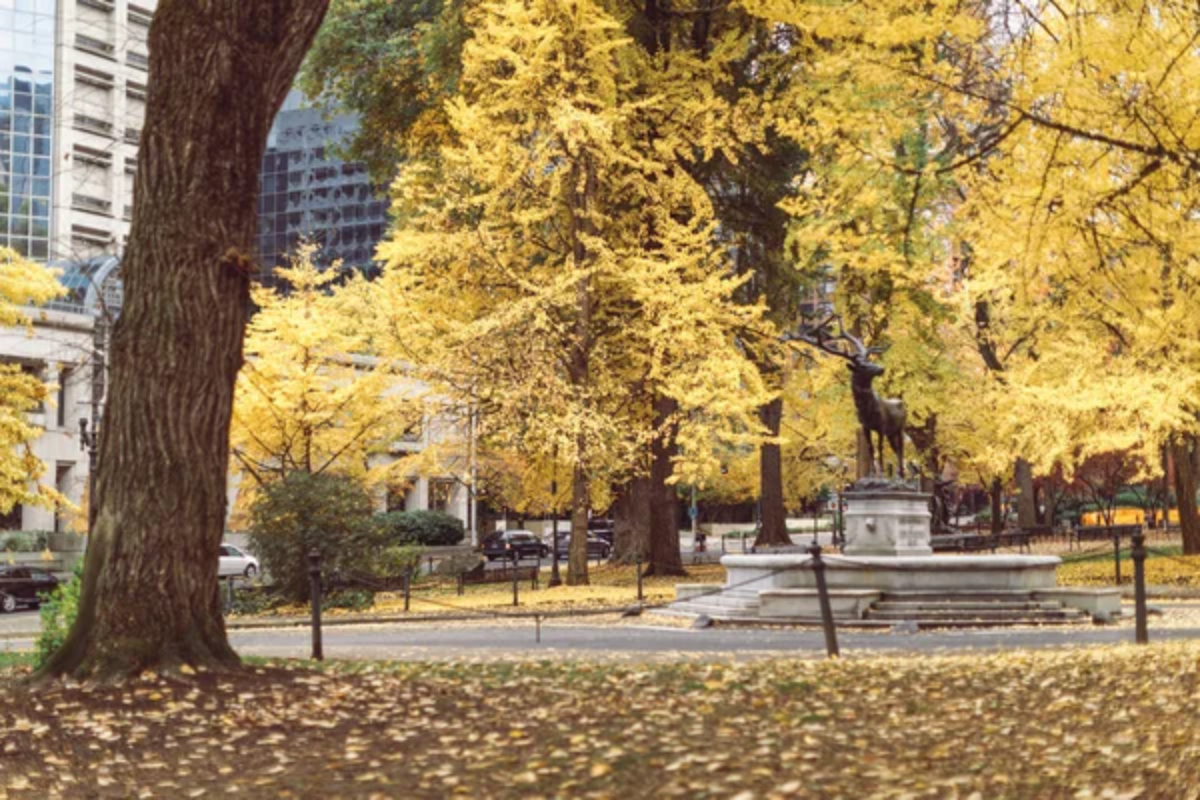 20 pocket hikes right inside Portland, Oregon