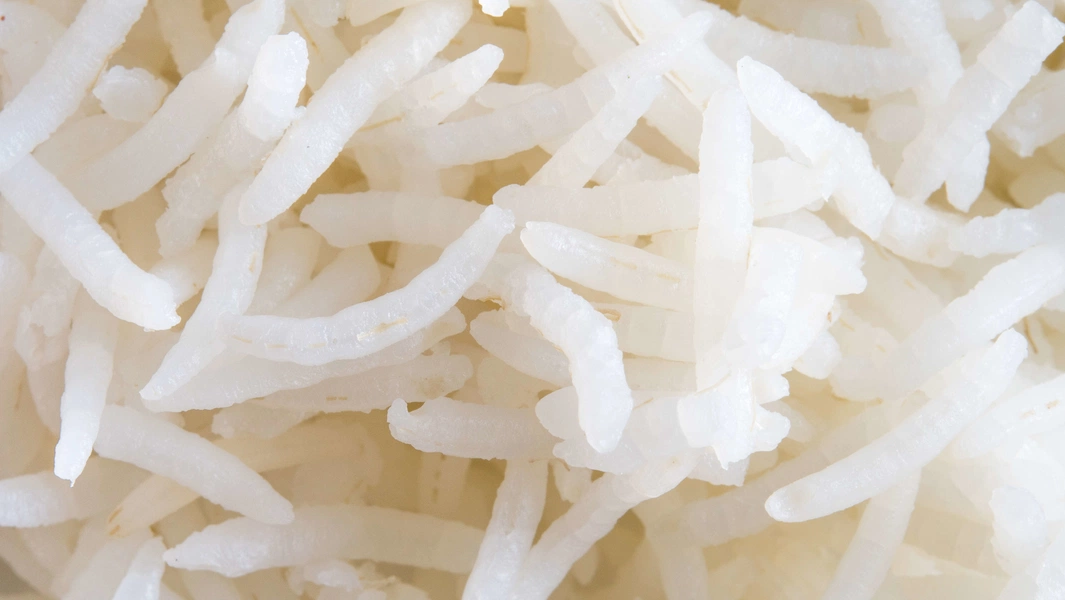 Master the art of perfect rice every time