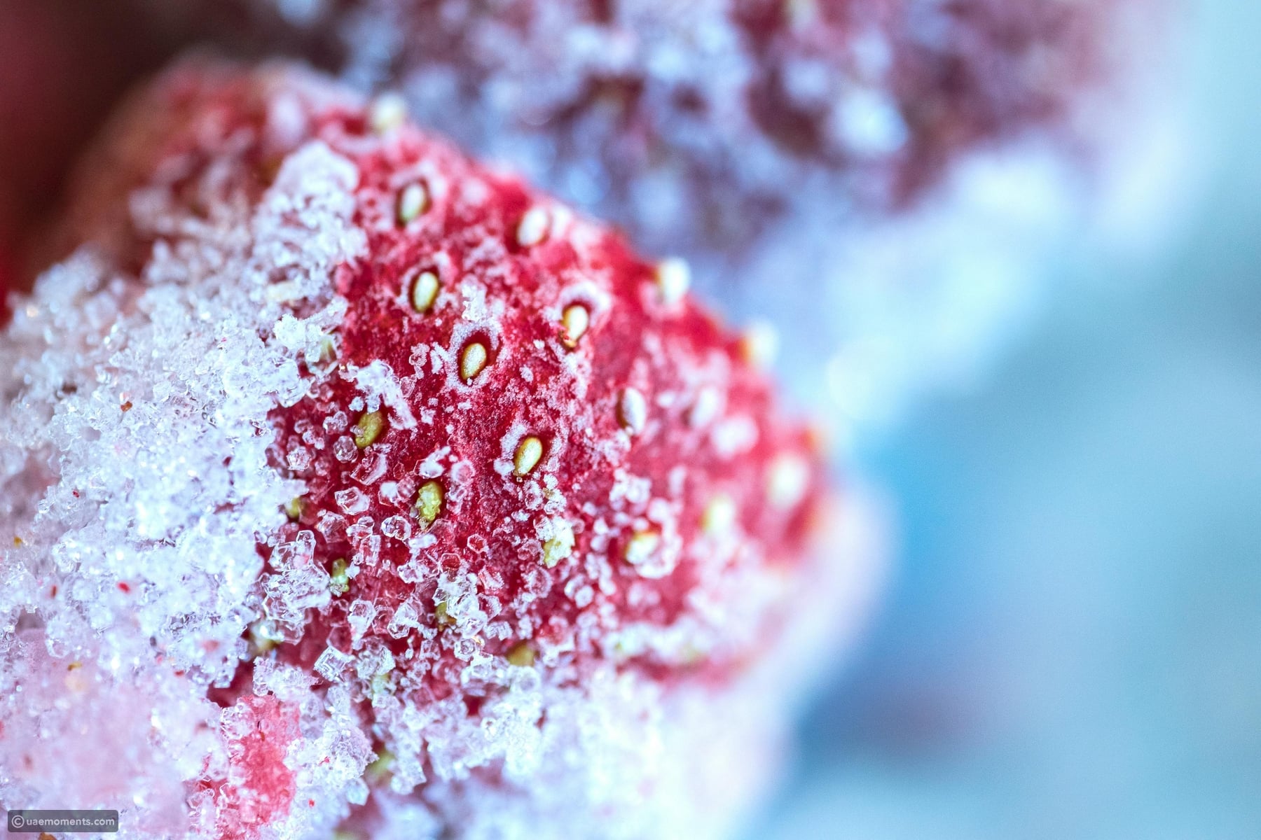 If you see ice crystals on frozen food, this is what it really means