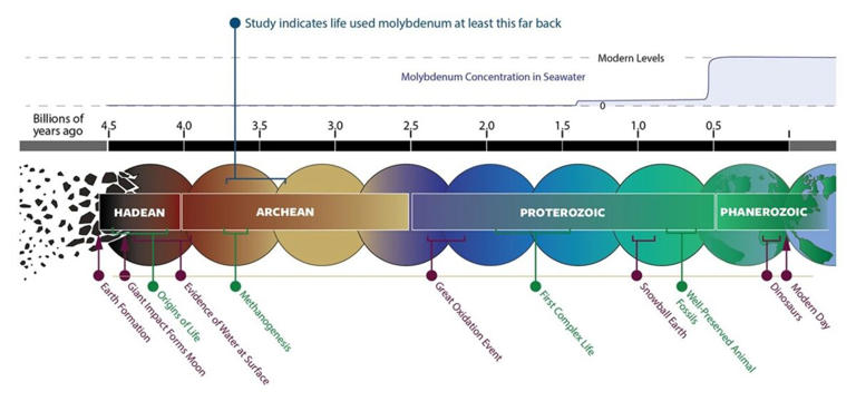 Earth’s rarest metal was thought to be useless to ancient life, until ...