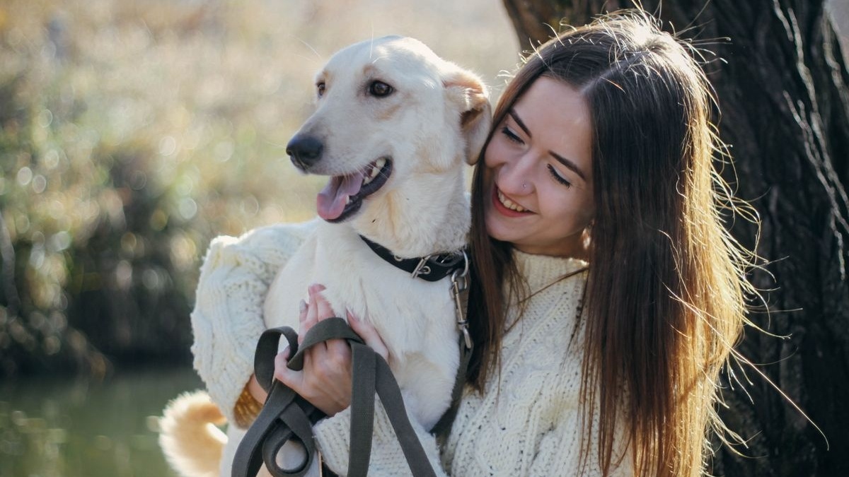8 little gestures your dog makes that express more love than you think ...