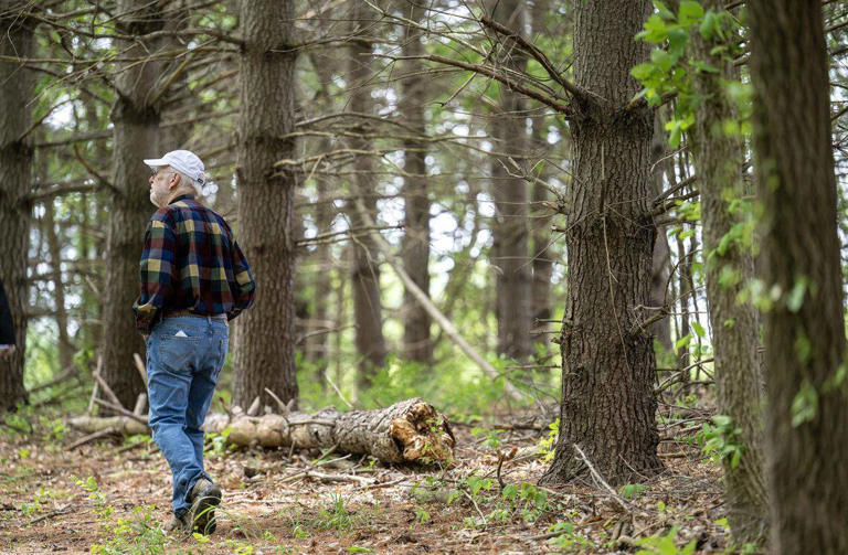 KC architect aims to restore decades-old, heart-shaped forest ahead of ...