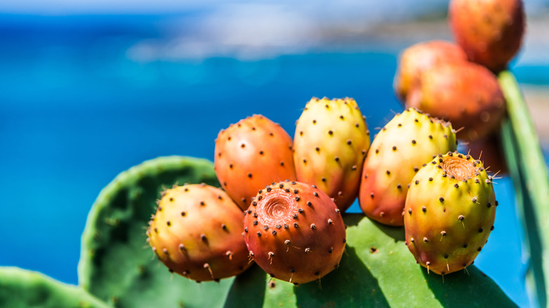 7 foods to eat and 7 to avoid for your liver