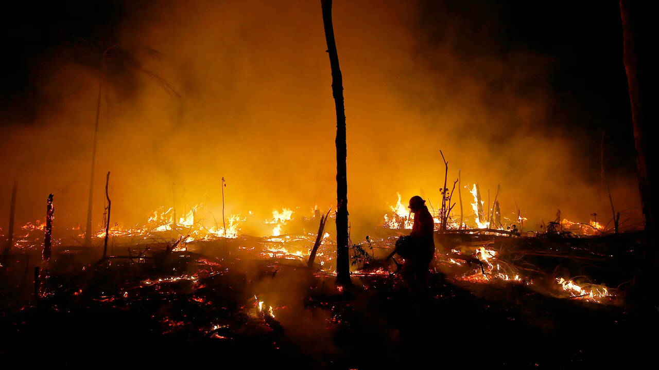 Brazil's Amazon faces rising threats despite reduced deforestation rates