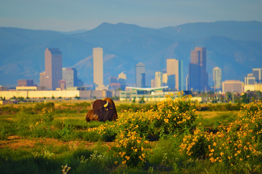 Denver weather: Sunny and warm into the weekend