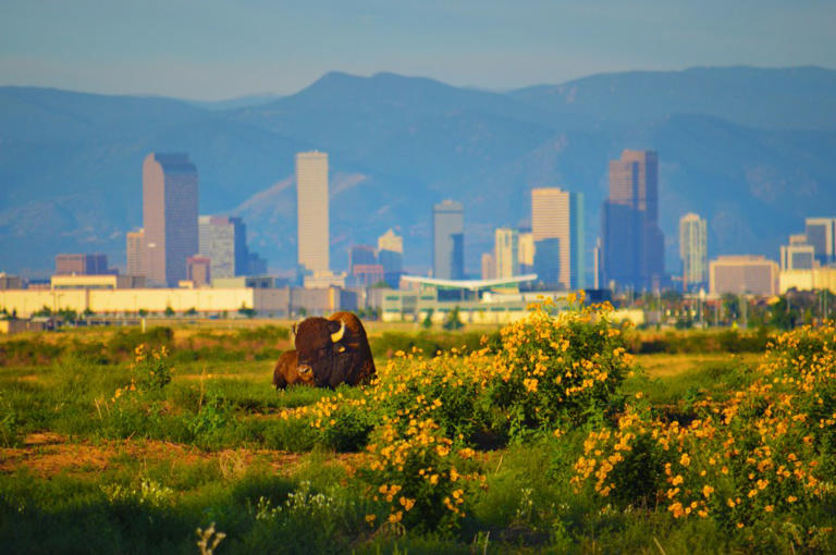 Denver weather: Sunny and warm into the weekend