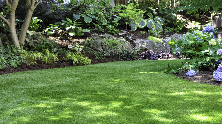 Why you need to know about the 3-inch lawncare rule this May