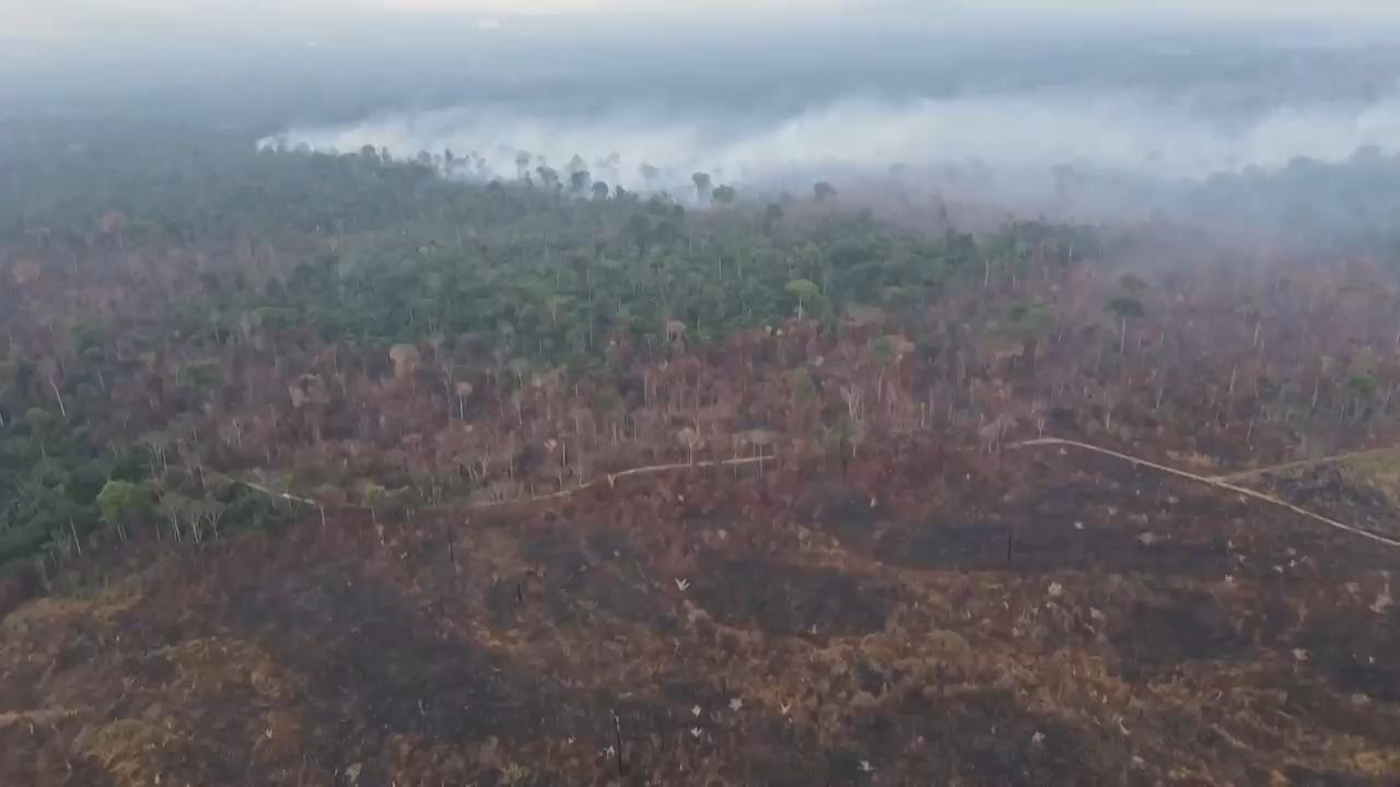Amazon's deforestation drop meets a tougher foe: forest degradation ...