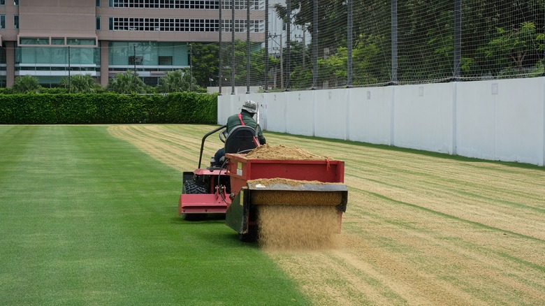 5 materials you can use to top-dress your lawn (& which is best for ...