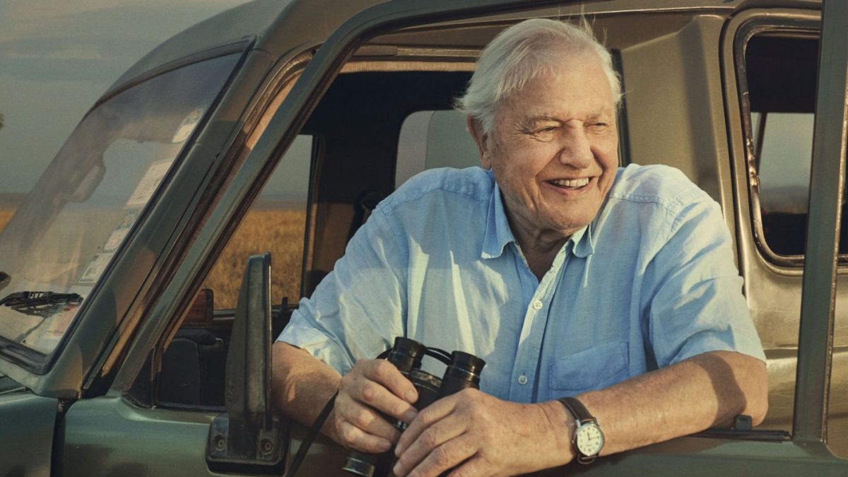 David Attenborough’s 16 best TV moments (you will definitely cry)
