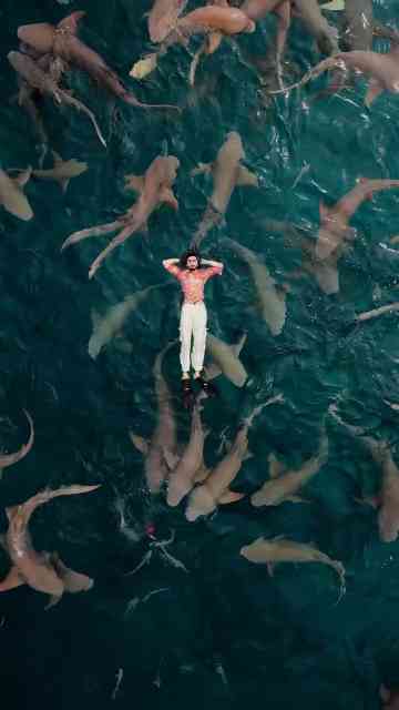 Surrounded by nurse sharks
