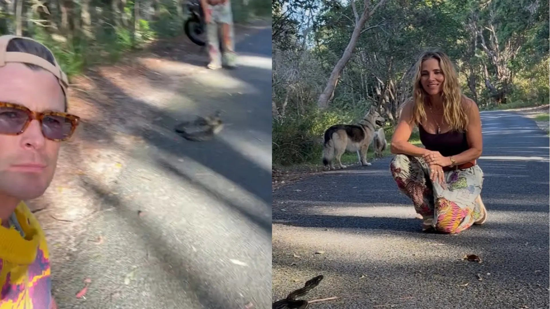 Chris Hemsworth y Elsa Pataky se encuentran con una gran serpiente ...