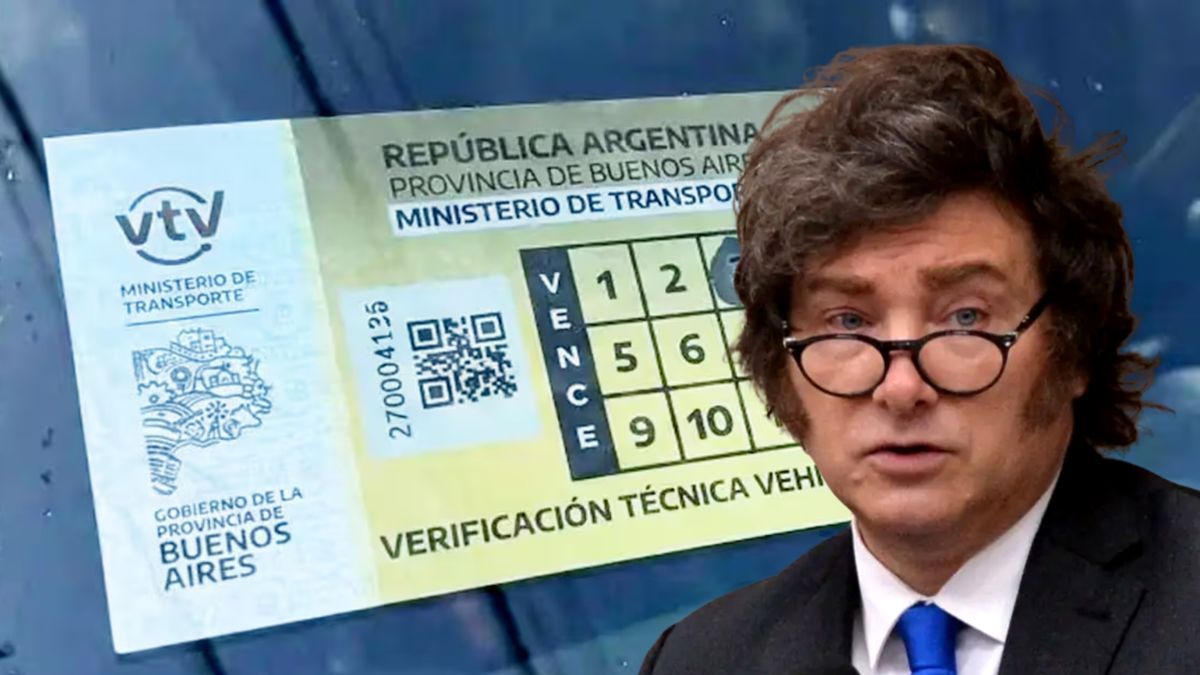 Cambios en la VTV: el Gobierno revisará auto por auto y aplicará multas ...