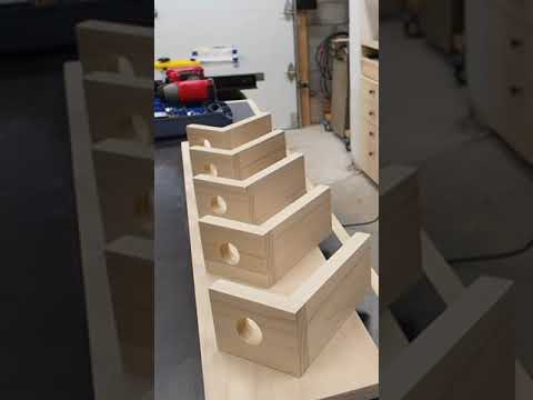 I built a stunning wine rack!