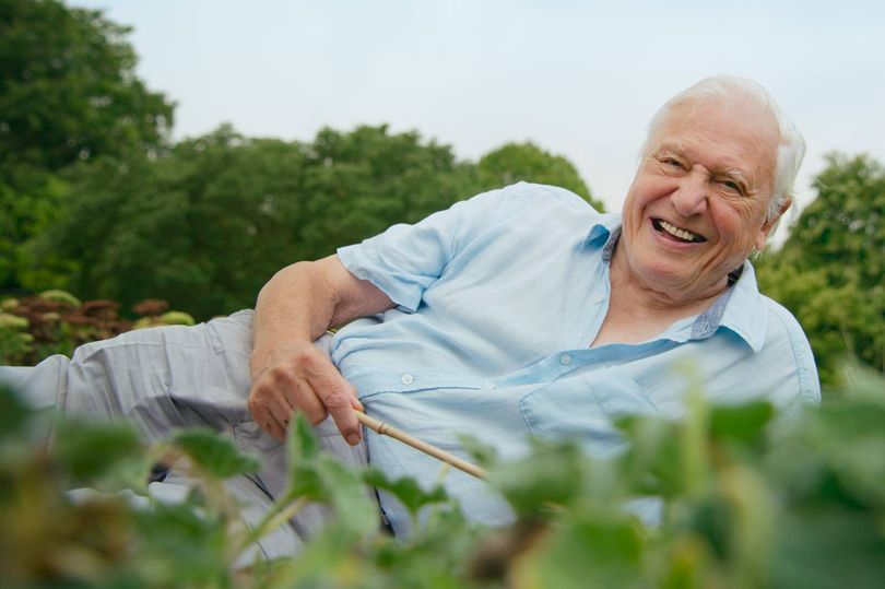 David Attenborough's very famous relative exposed through hidden family ...