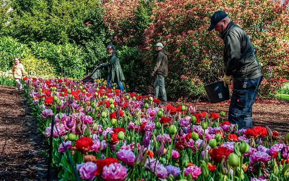 Experts share spring gardening and lawn care tips