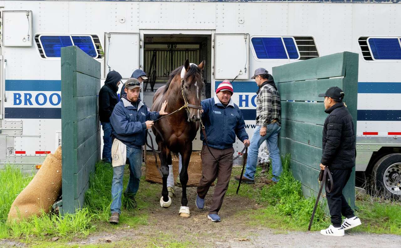 Horse racing star Sovereignty back at Saratoga