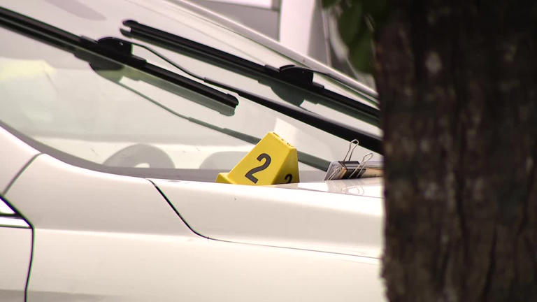 Oakland police shoot suspect after he drags officers with car, pins one
