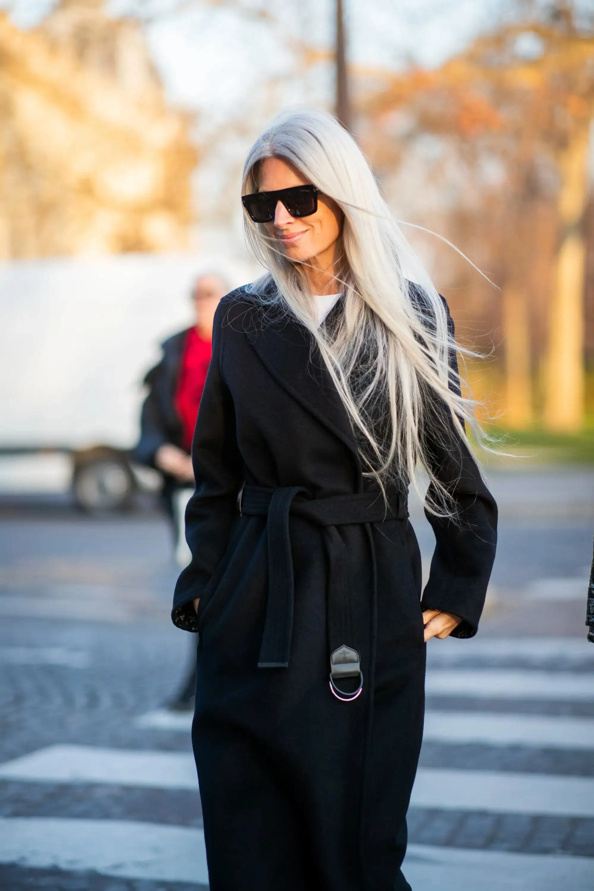 5 cortes de pelo con canas muy luminosos y elegantes