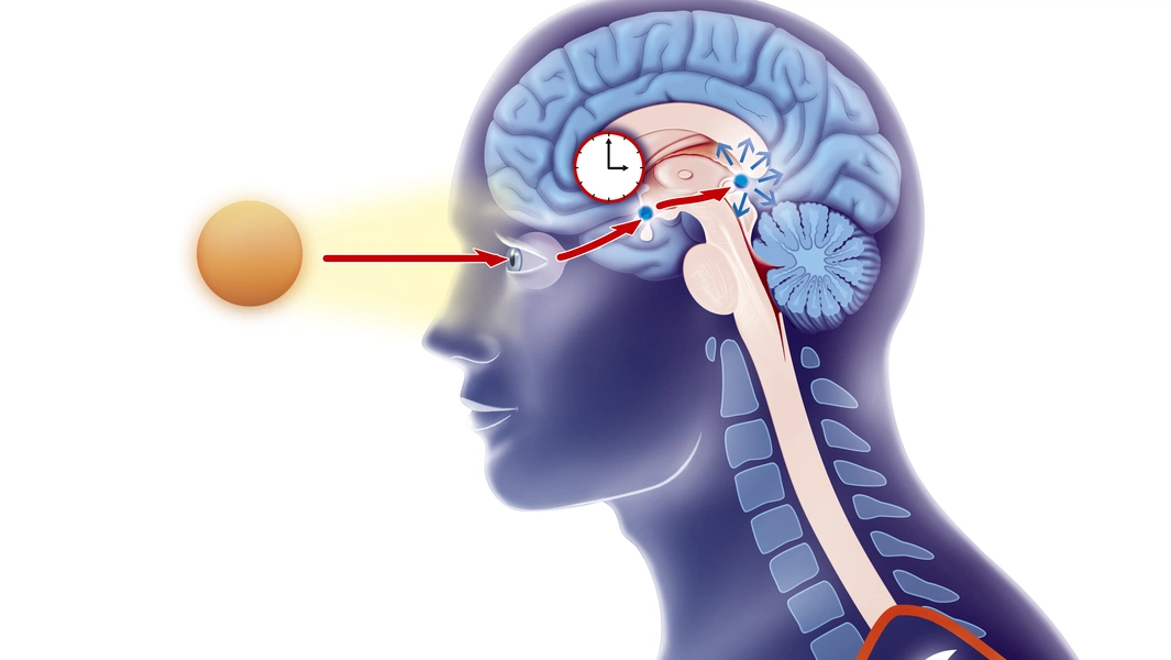 Studies link irregular sleep patterns to higher heart risk