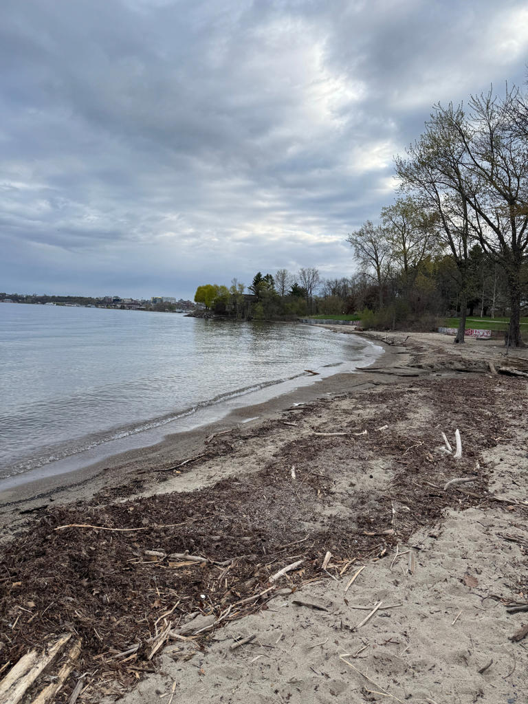 Lake Champlain level lower than average this spring