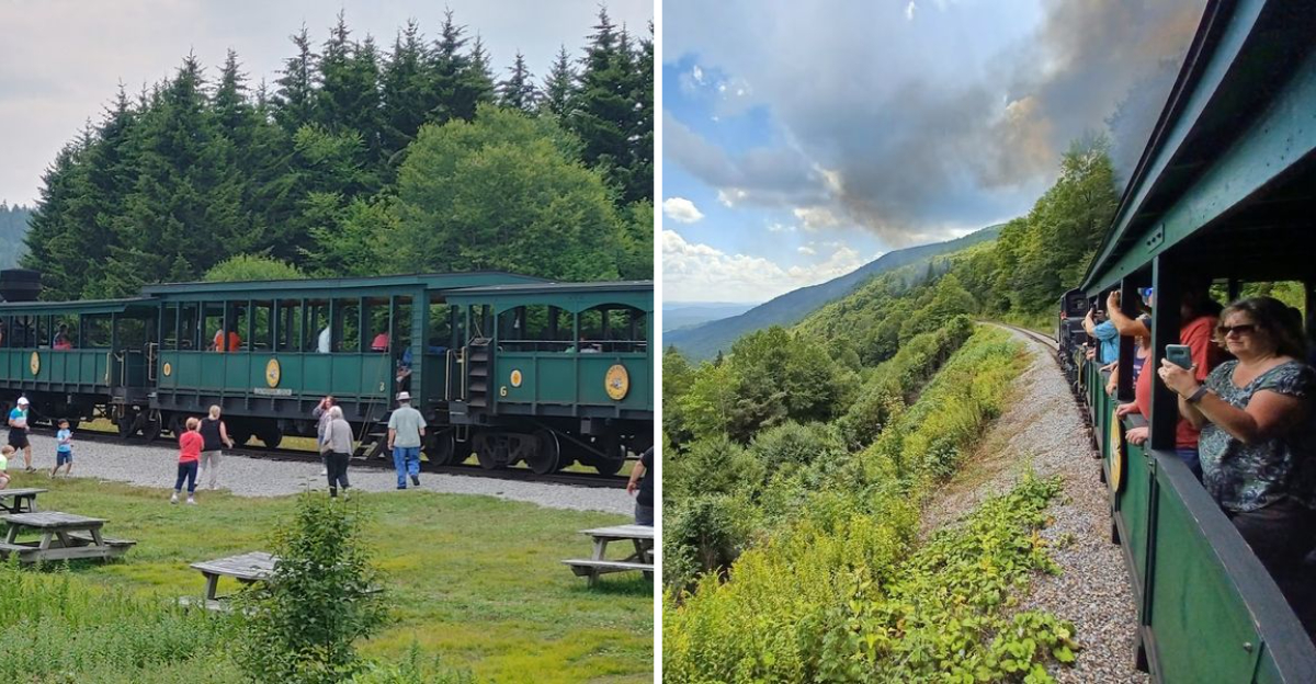 This scenic train ride in West Virginia chugs its way to jaw-dropping ...