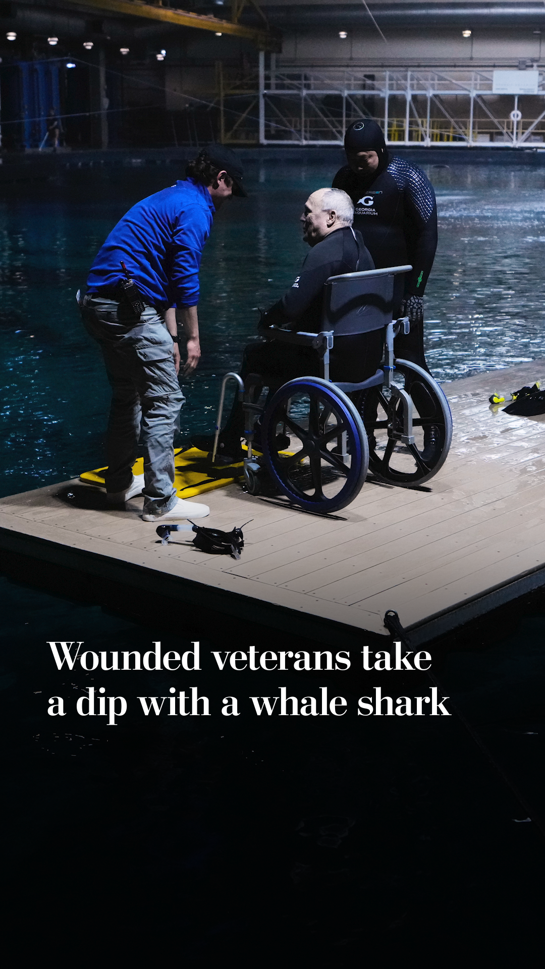 Injured US military veterans swim with a whale shark