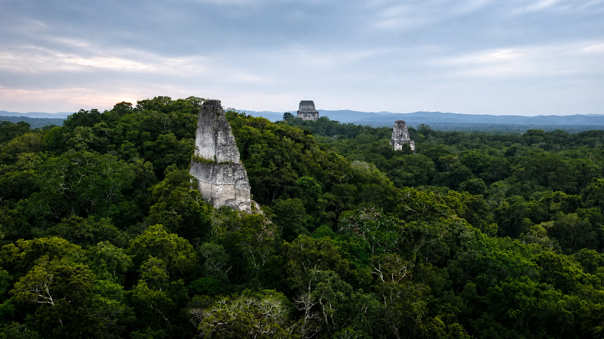 Deep jungle hides what few have seen