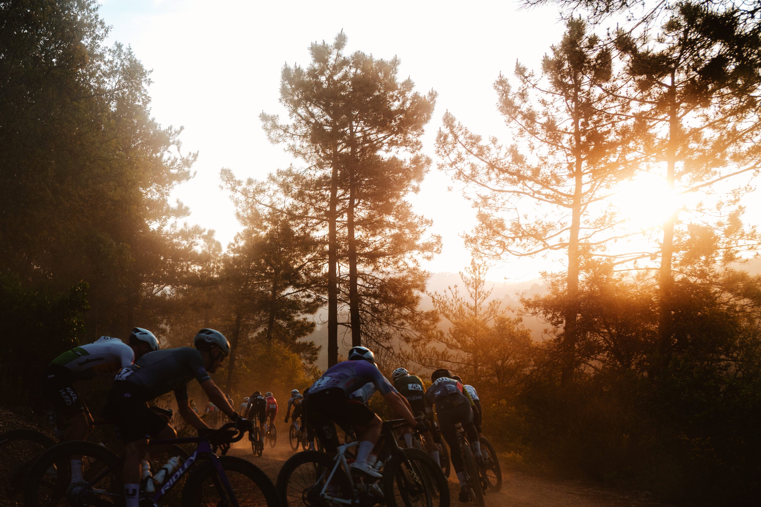 Course cutting, doping suspensions, and testosterone treatments: The ...