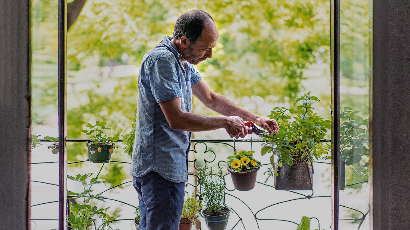 Huerto en balcón para principiantes: qué plantar y cómo organizarlo