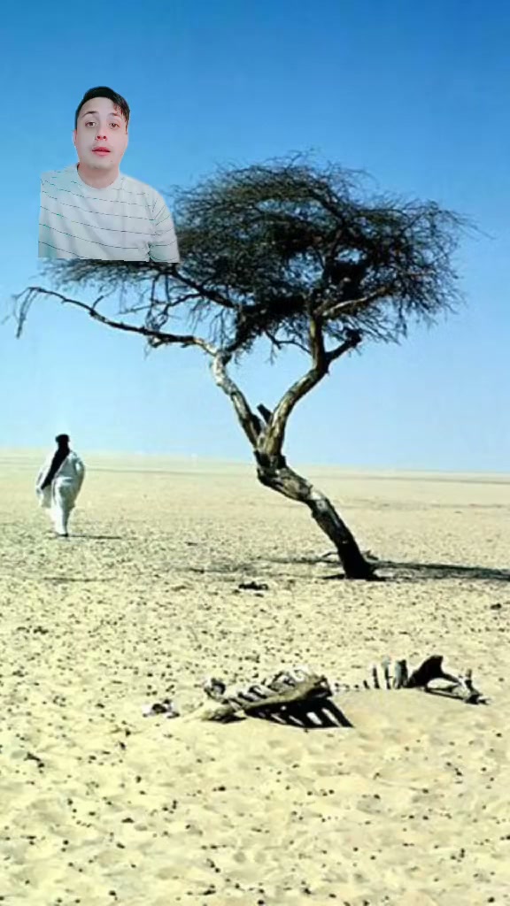 El árbol de Teneré. #historia #naturaleza #nescritor #arboles #sahara