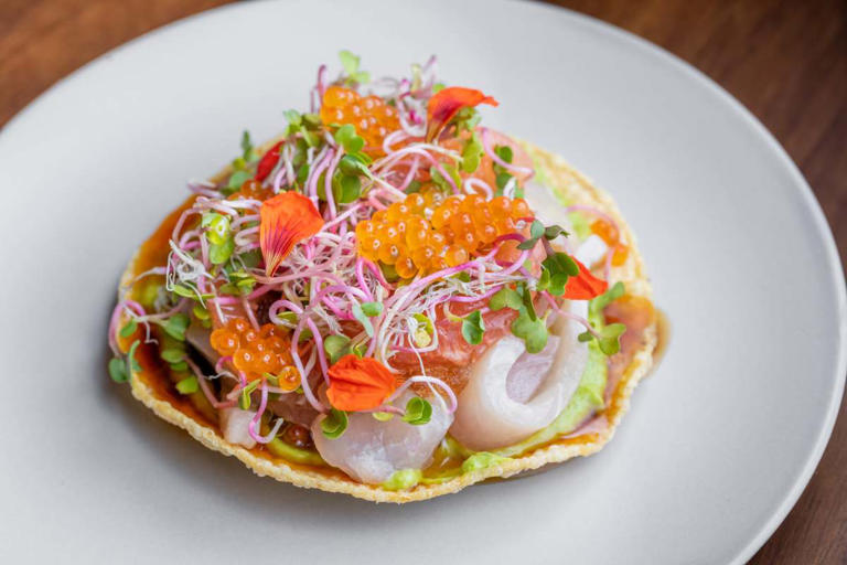 Ceviche Project