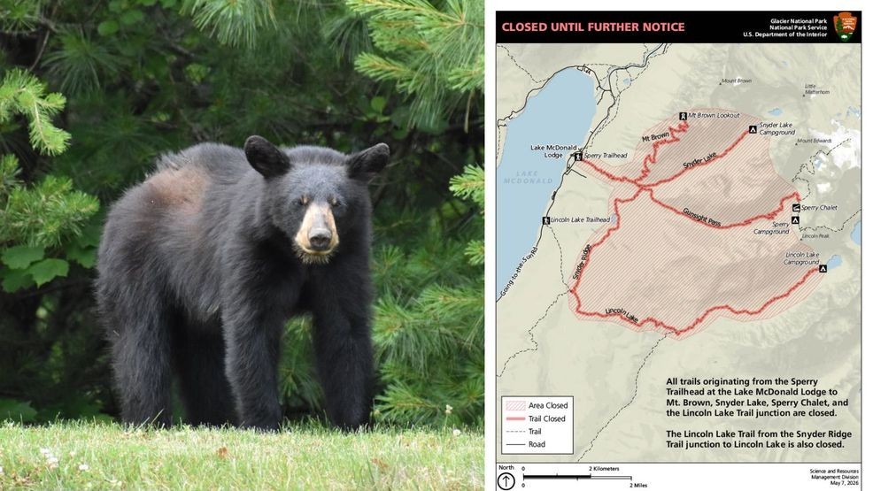 Hiker's remains found in Glacier National Park, could it be a missing ...