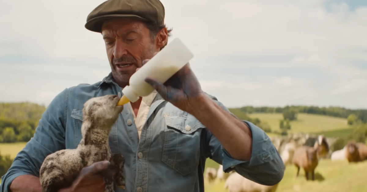 Critics are weepy for the Sheep Detectives
