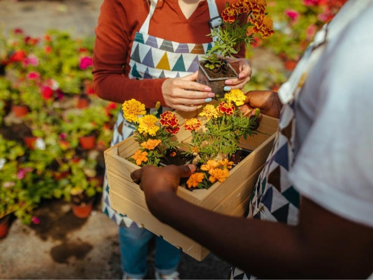 Craft, plant, and yard sales and fairs | Seacoast Food Truck Fest ...