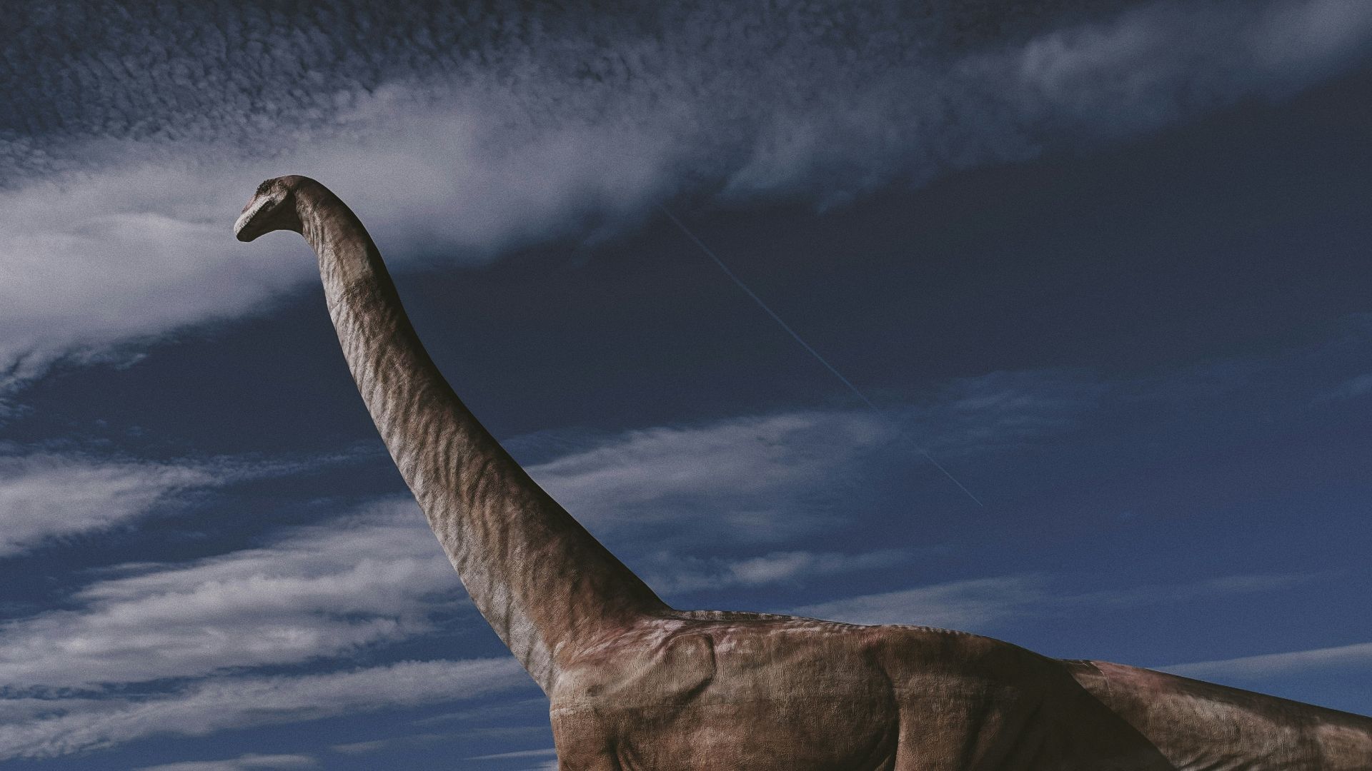 20 fossils scientists got completely wrong, and what it took to finally ...