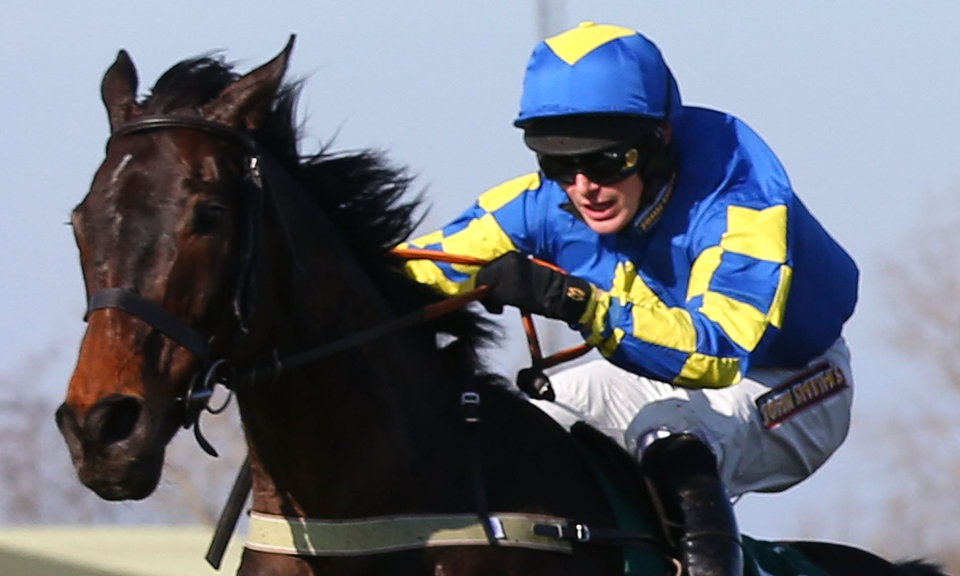 Legendary Grand National horse Auroras Encore, who won world's most ...