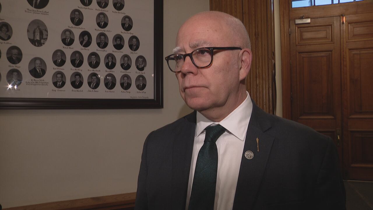 Green leader calls for more frequent reporting from suicide review ...