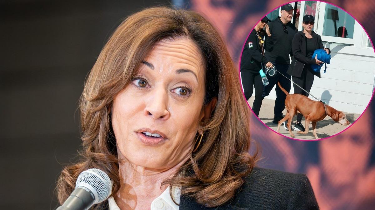 Kamala Harris enjoys casual dog walk with husband Doug in Malibu amid ...