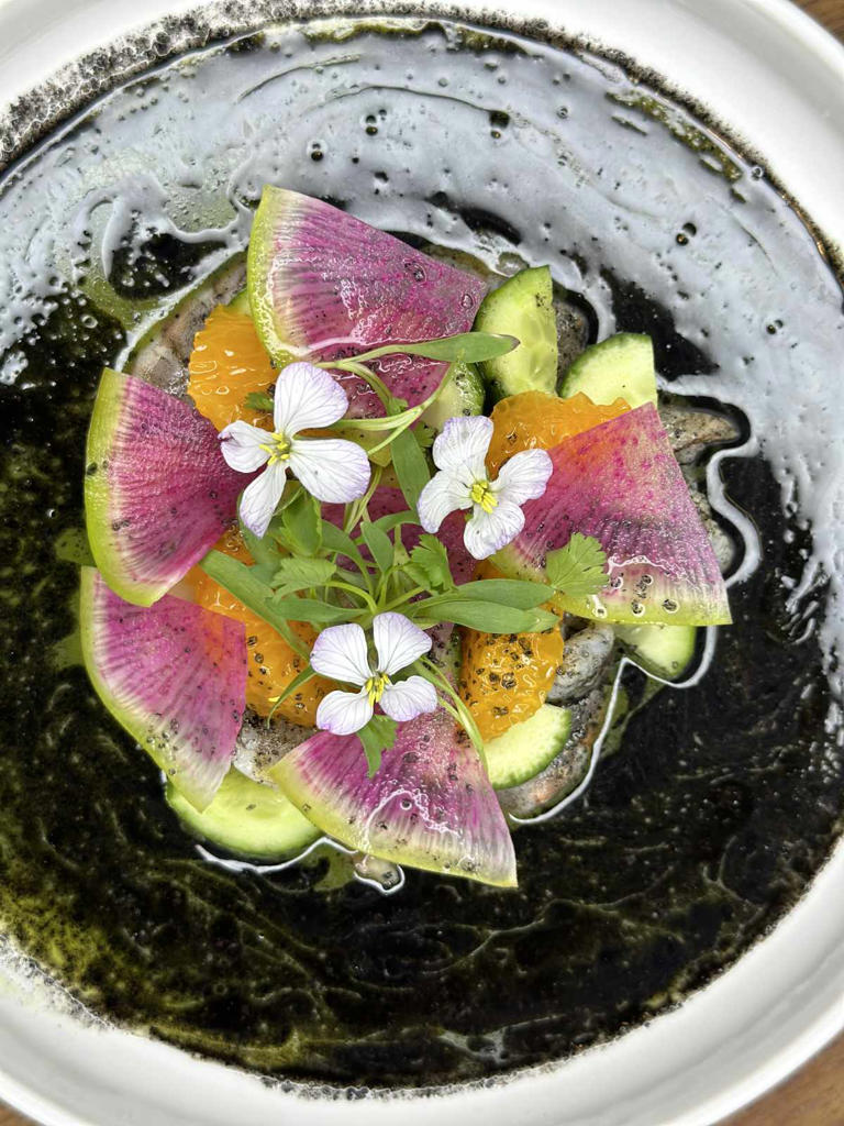 Ceviche Project