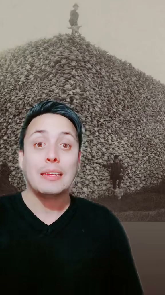 Algo que debes saber sobre los bisontes #planeta #animales #naturale