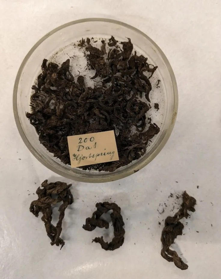 A tiny human fingerprint found on a 2,000-year-old sunken boat could ...