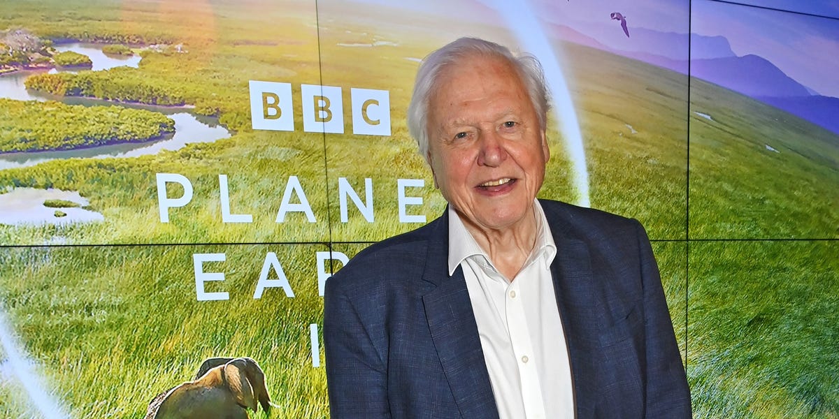 Sir David Attenborough turns 100 – and these 3 everyday habits may ...