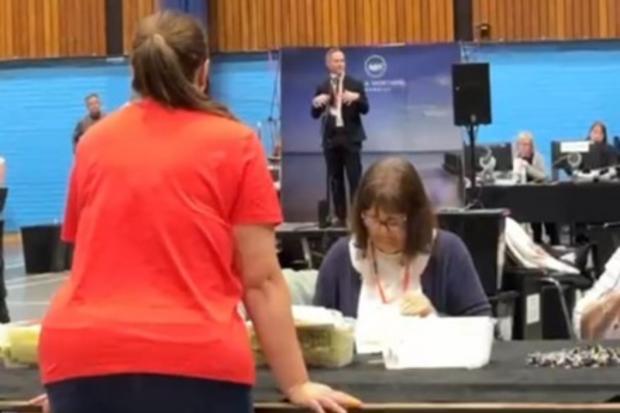 Swarm of insects interrupts local election count