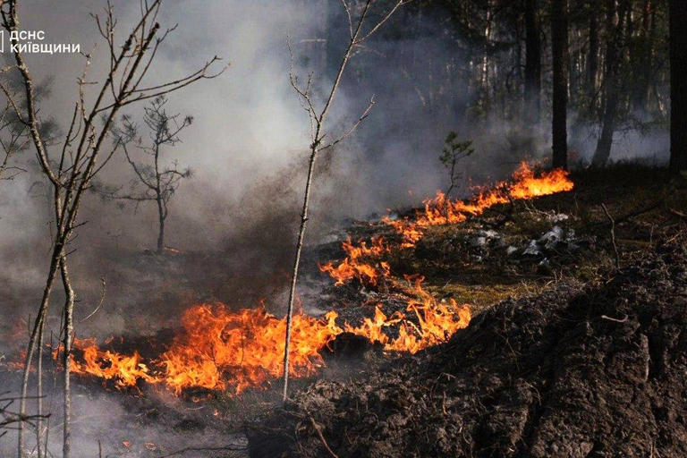 Fires break out in exclusion zone around Chernobyl nuclear plant
